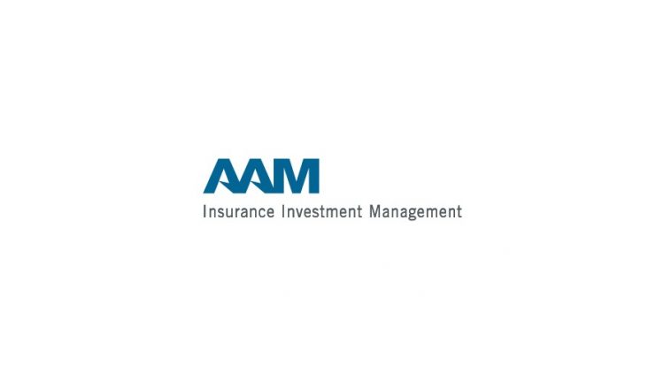 AAM Insurance Investment Management Appoints Tim Senechalle as Chief ...