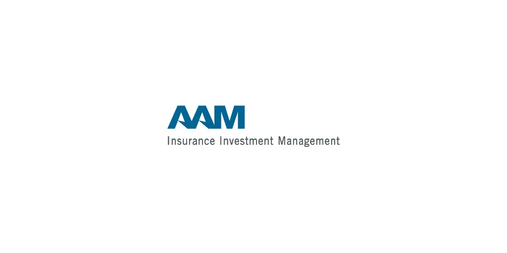AAM Insurance Investment Management Appoints Tim Senechalle as Chief ...
