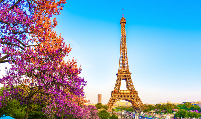 Your Summer in Paris