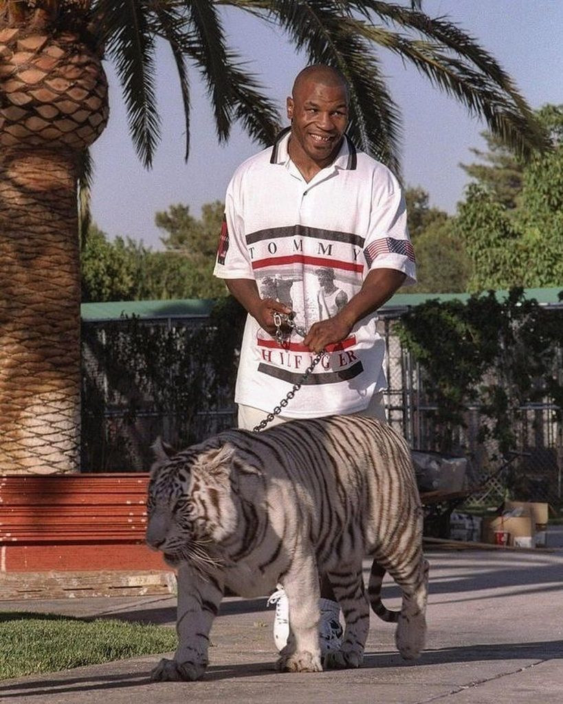 Mike Tyson’s $140K Tiger Obsession